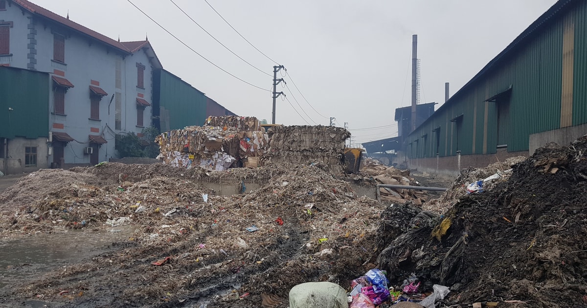 Vi Phạm Về Môi Trường 8 Doanh Nghiệp ở Ccn Phú Lâm Bị đình Chỉ Xử